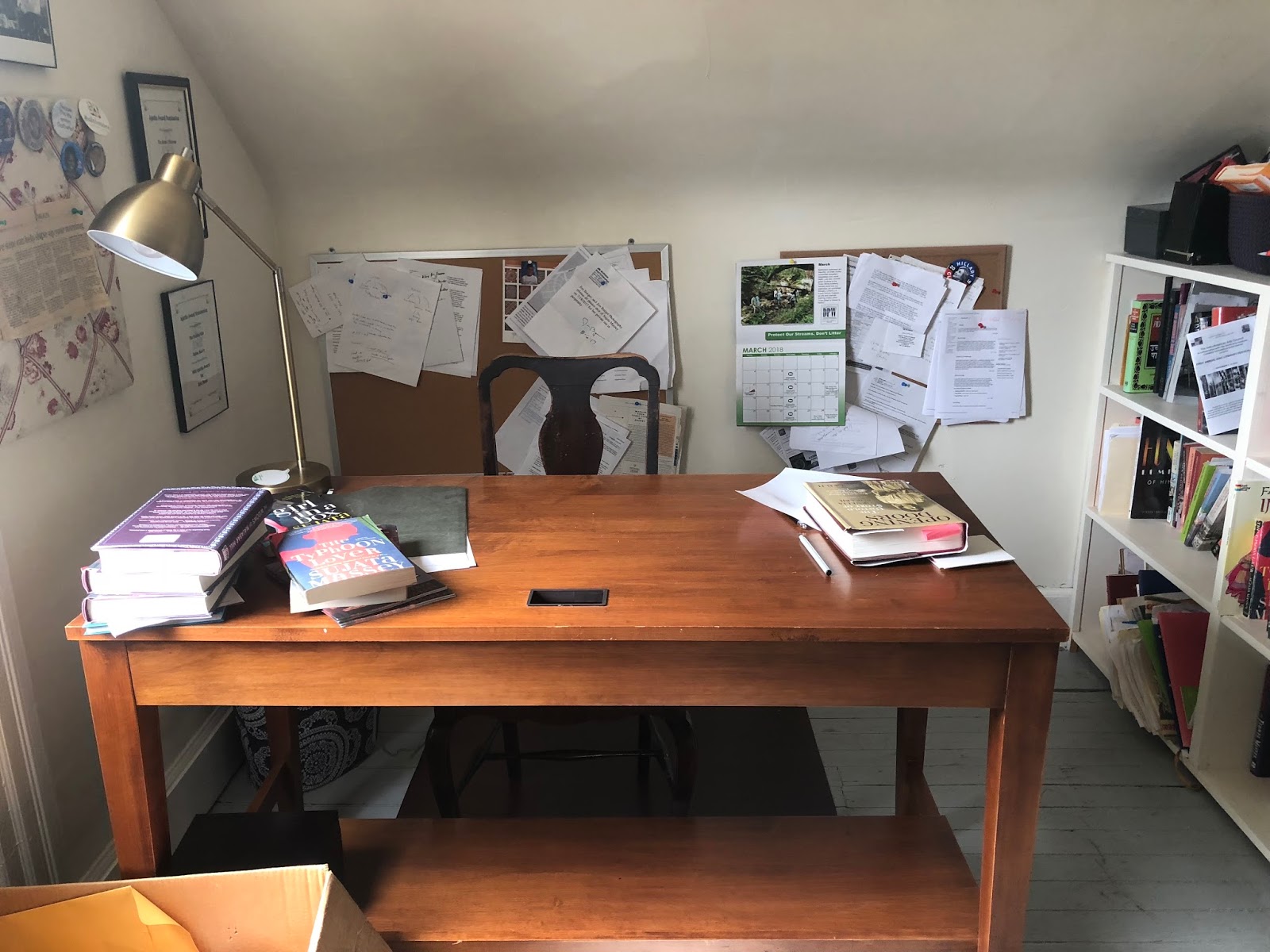 A Writer's Lament, Revised - Sujata Massey