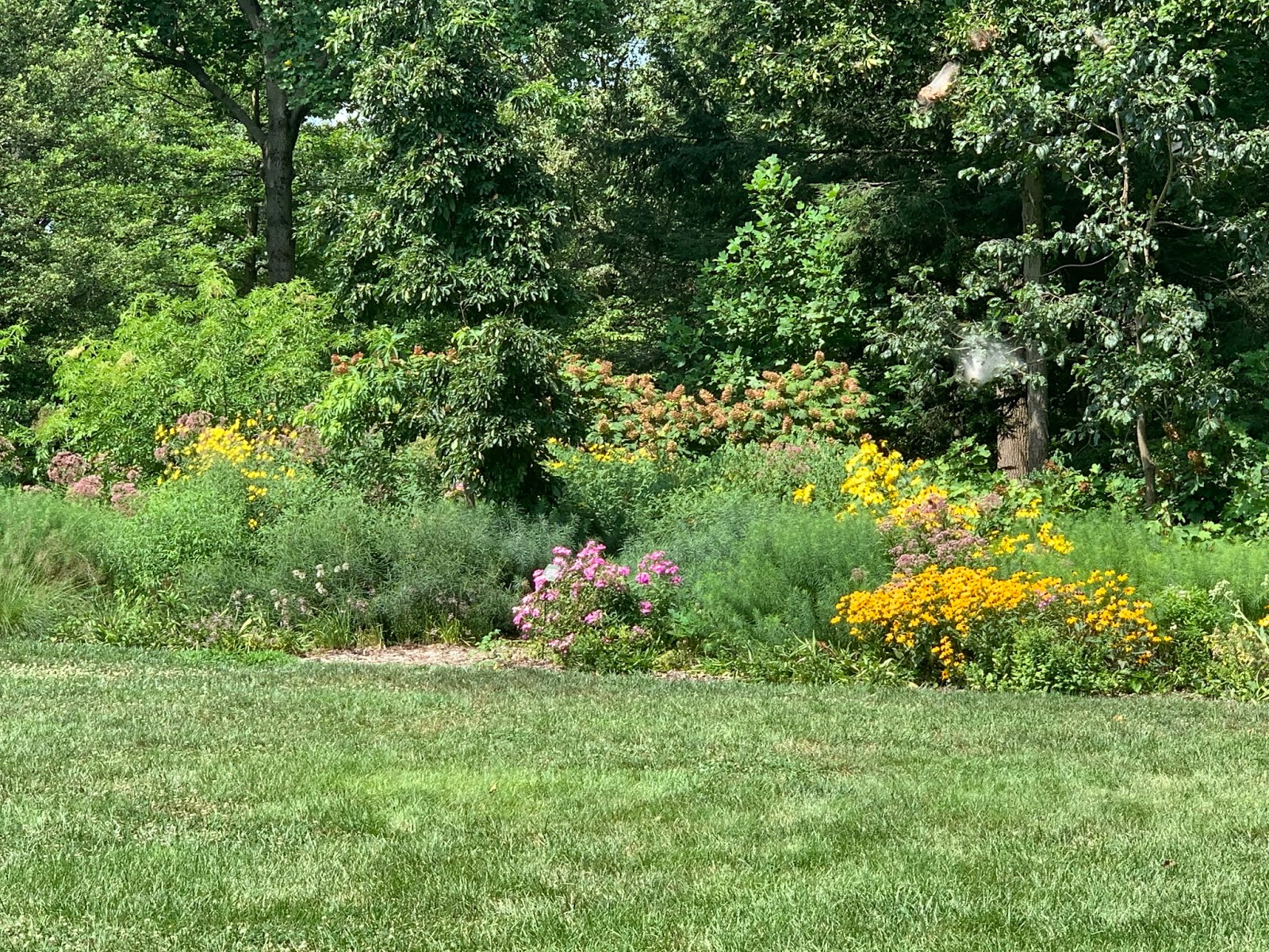 Mid-Atlantic Native - Sujata Massey