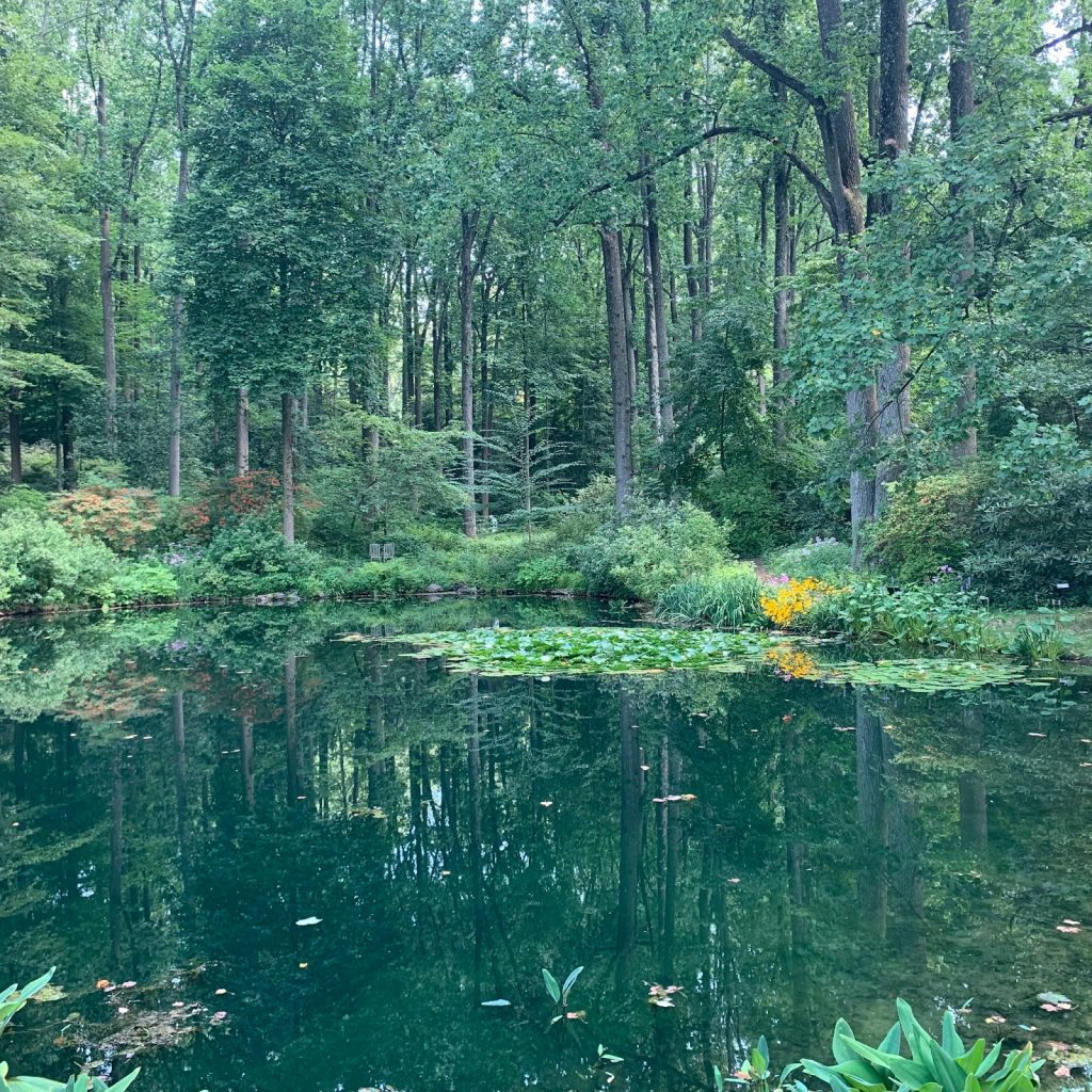 Mid-Atlantic Native - Sujata Massey