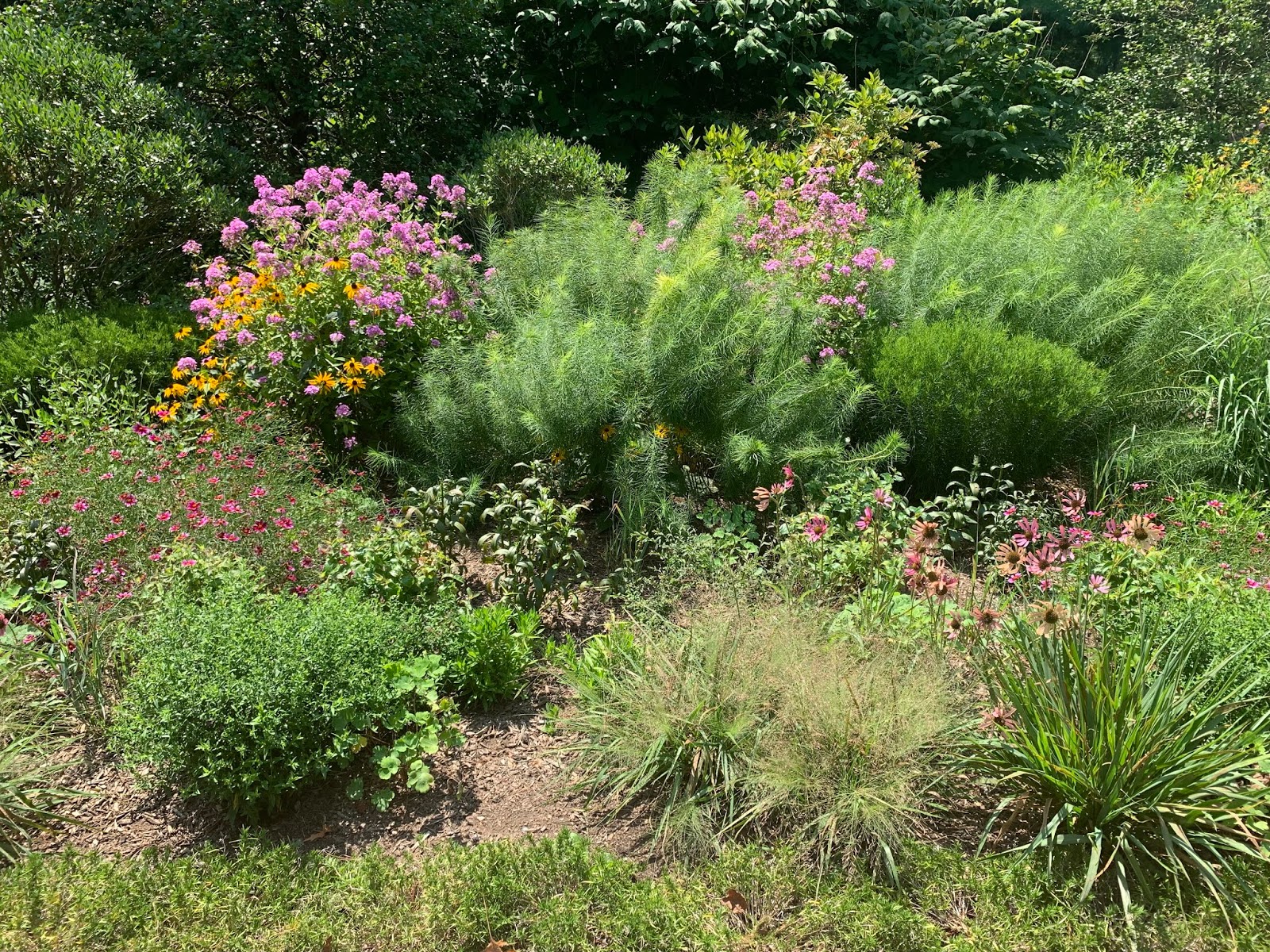 Mid-Atlantic Native - Sujata Massey