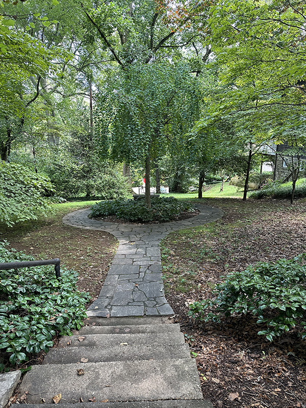 Summer's Surprising Path - Sujata Massey